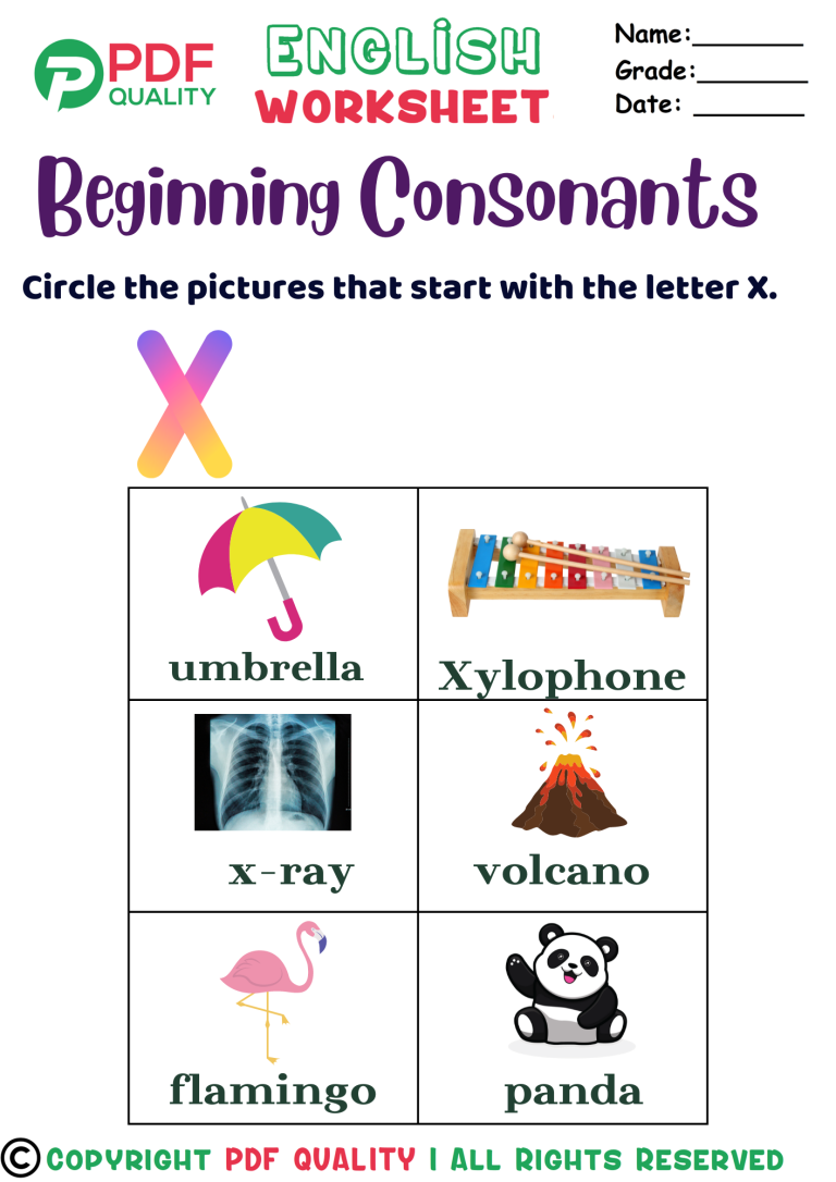 Beginning Consonants with the letter X – Sania Library